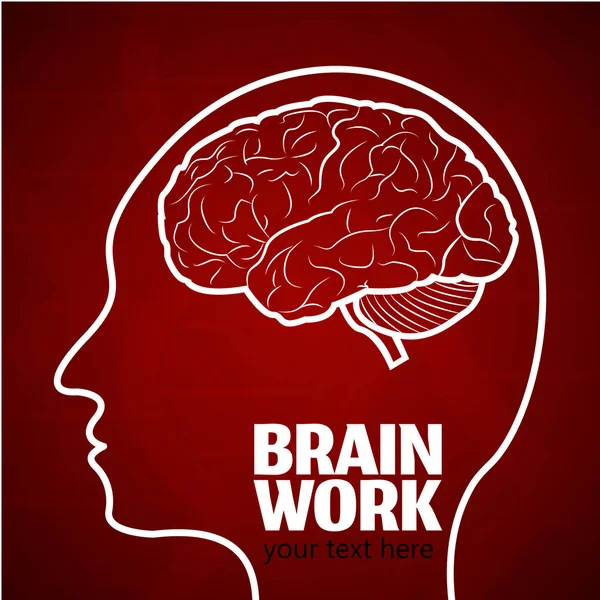 Brain work 1 — Stock Vector © sputnici.mail.ru #140873160