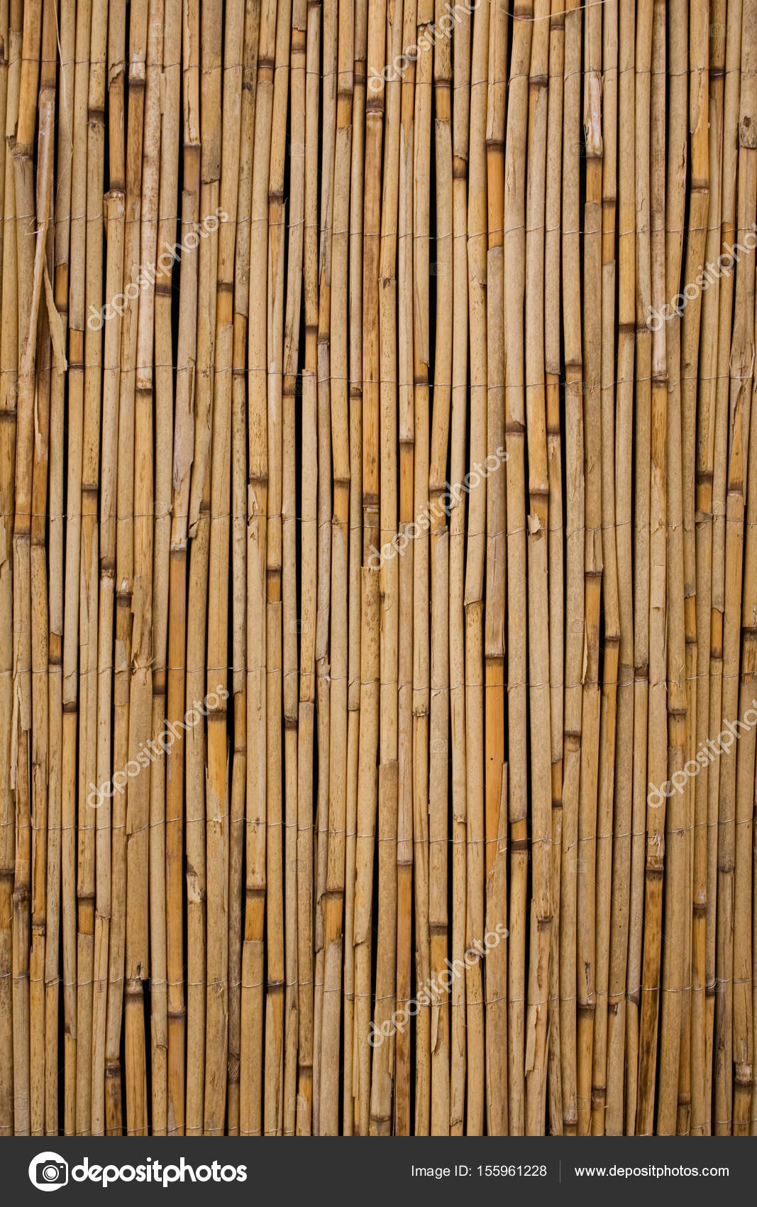 Dry reed straw texture Stock Photo by ©Goir 155961228