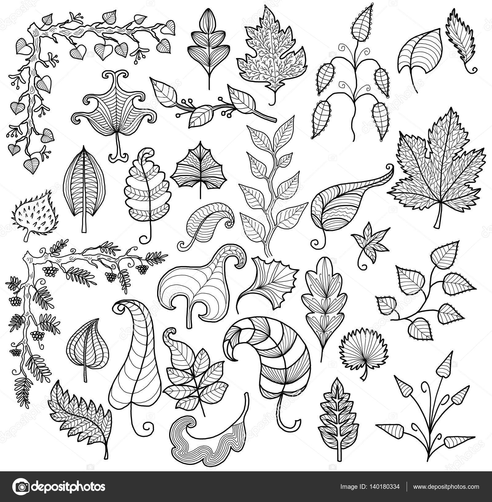Hand-drawings of the decorative leaves Stock Illustration by ©mubaister ...