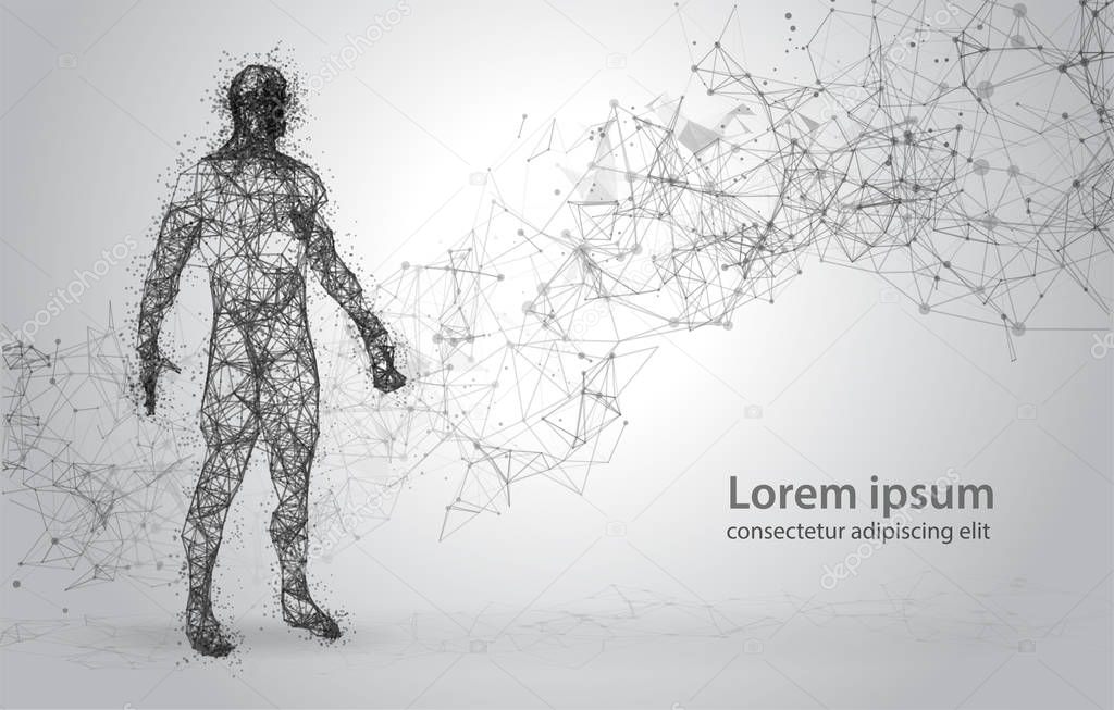 Abstract Wire frame human body. Polygonal 3d model on white background ...