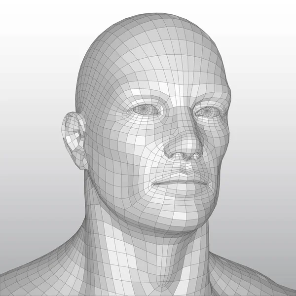 Head of the Person from a 3d Grid. Human Head Wire Model. Human Polygon ...