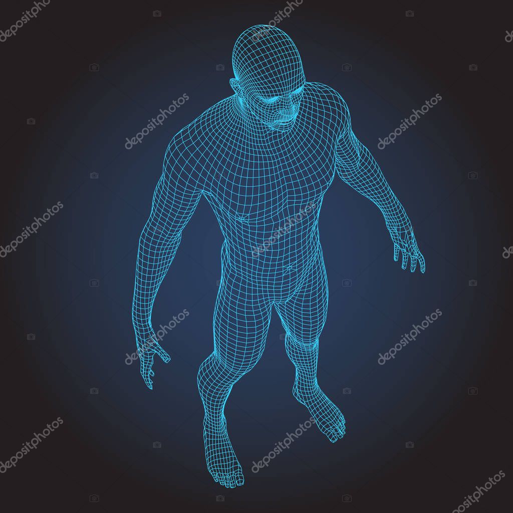 Vector: wireframe human body | 3D wire frame human body full face ...