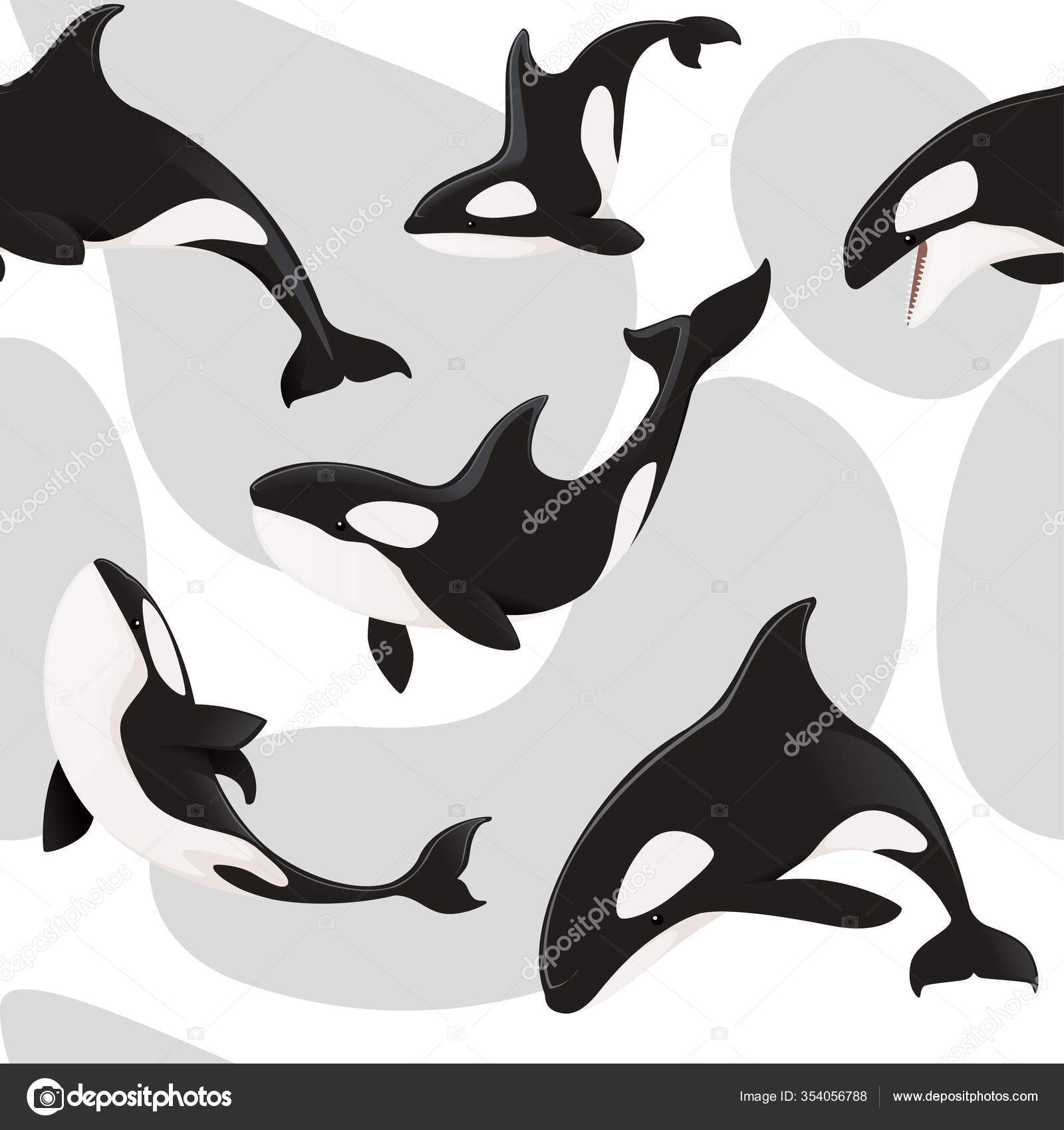 Killer Whale Silhouette