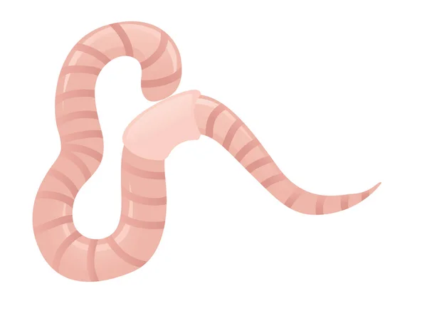 Pinworm Stock Photos, Royalty Free Pinworm Images | Depositphotos