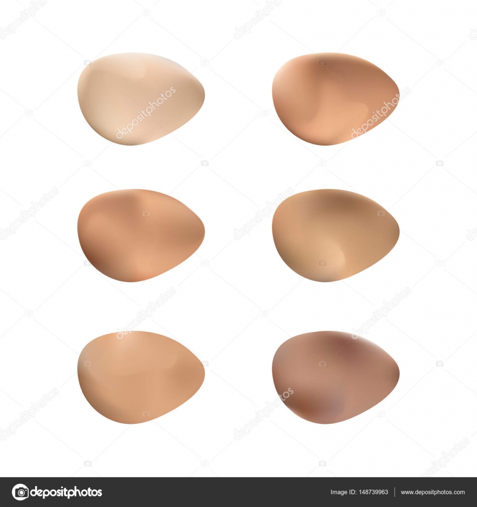 Color Shades Palette For Foundation Make Up. Isolated On White ...