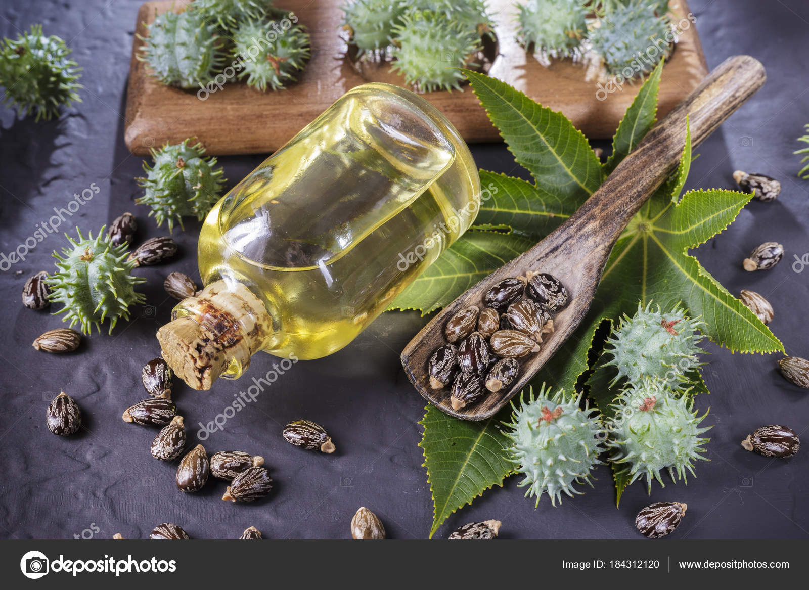 Castor Plant Ricin