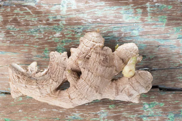 Devils claw root Stock Photos, Royalty Free Devils claw root Images ...