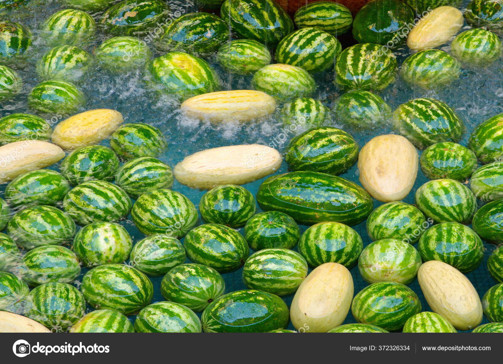 Do Watermelons Float In Water Inflatable Giant Watermelon Ice Pop Pool
