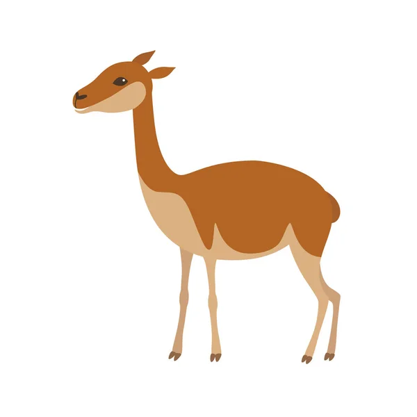 Vectores de stock de Vicuña dibujo, ilustraciones de Vicuña dibujo sin ...