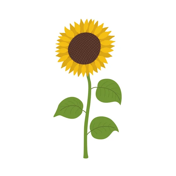 Sunflower icon cartoon. Single plant icon from the big farm, garden ...