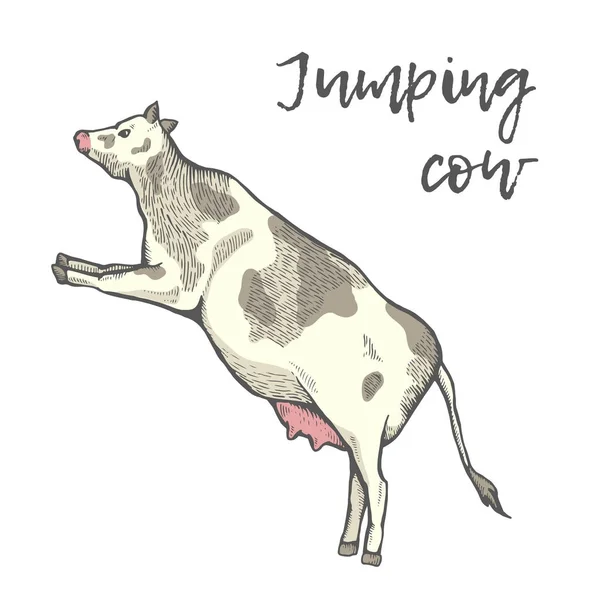 Cow jumping Stock Photos, Royalty Free Cow jumping Images | Depositphotos