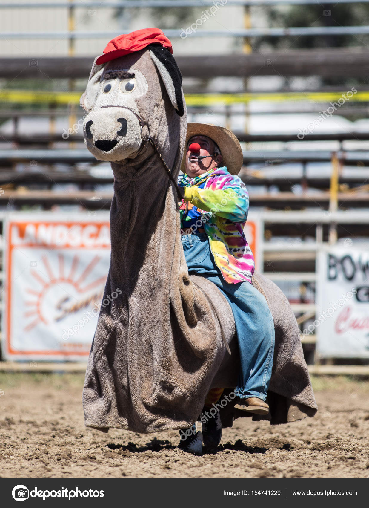 Funny Rodeo Pictures