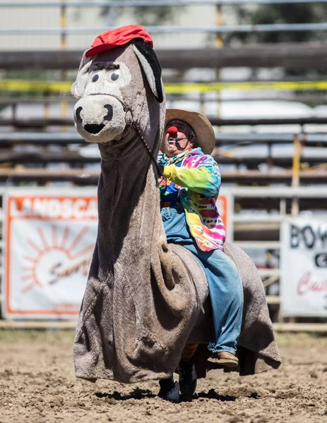 Rodeo clown Stock Photos, Royalty Free Rodeo clown Images | Depositphotos