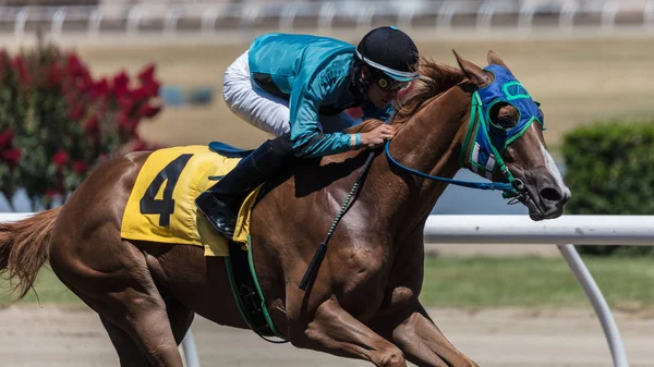 Horse races Stock Photos, Royalty Free Horse races Images | Depositphotos