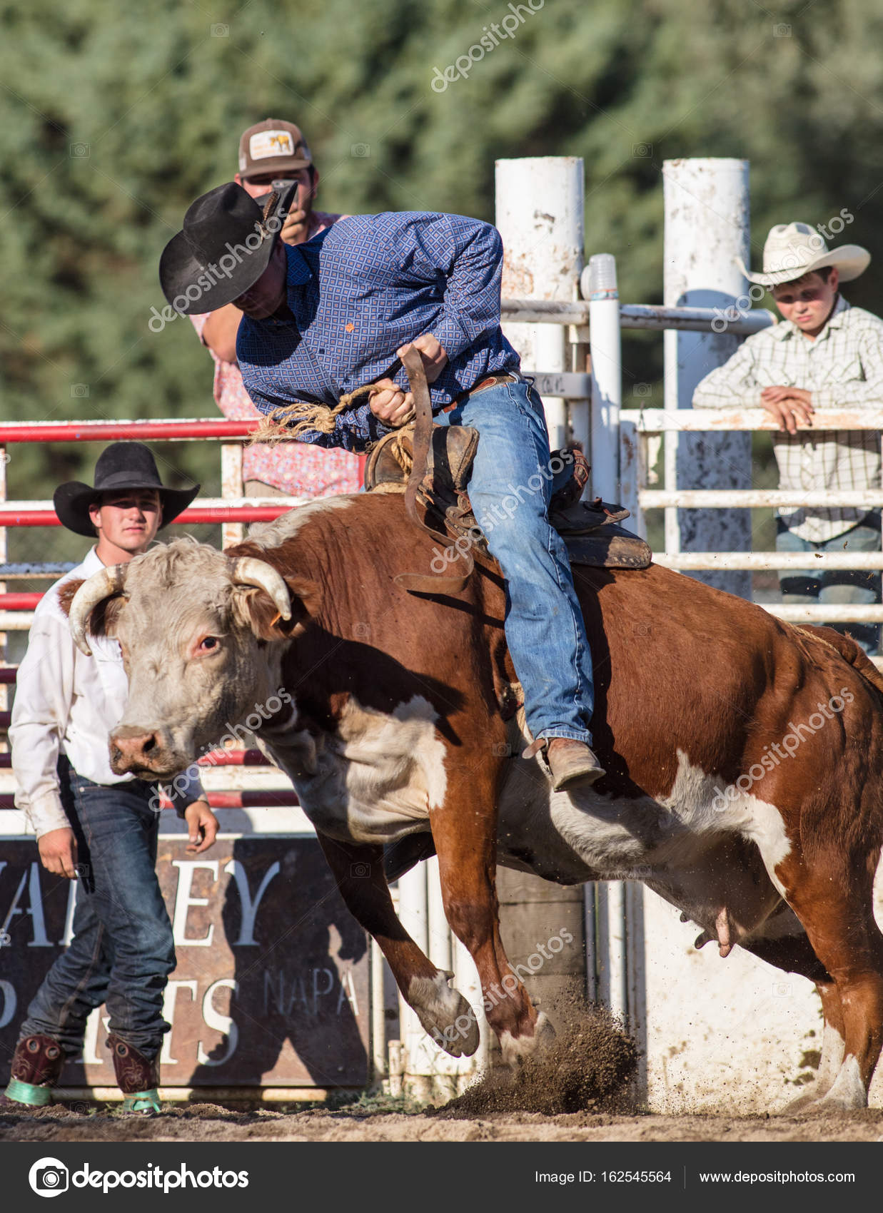 Etna Rodeo Bull Riding — Stock Editorial Photo © Teacherdad48 #162545564
