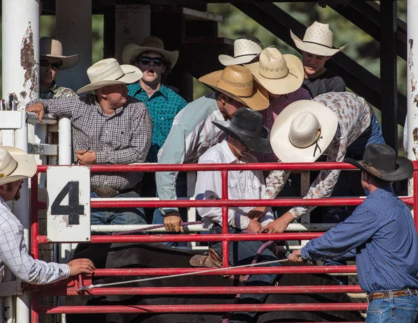 Teamwork cowboys Stock Photos, Royalty Free Teamwork cowboys Images ...