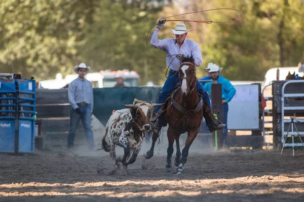Ranch roping Stock Photos, Royalty Free Ranch roping Images | Depositphotos