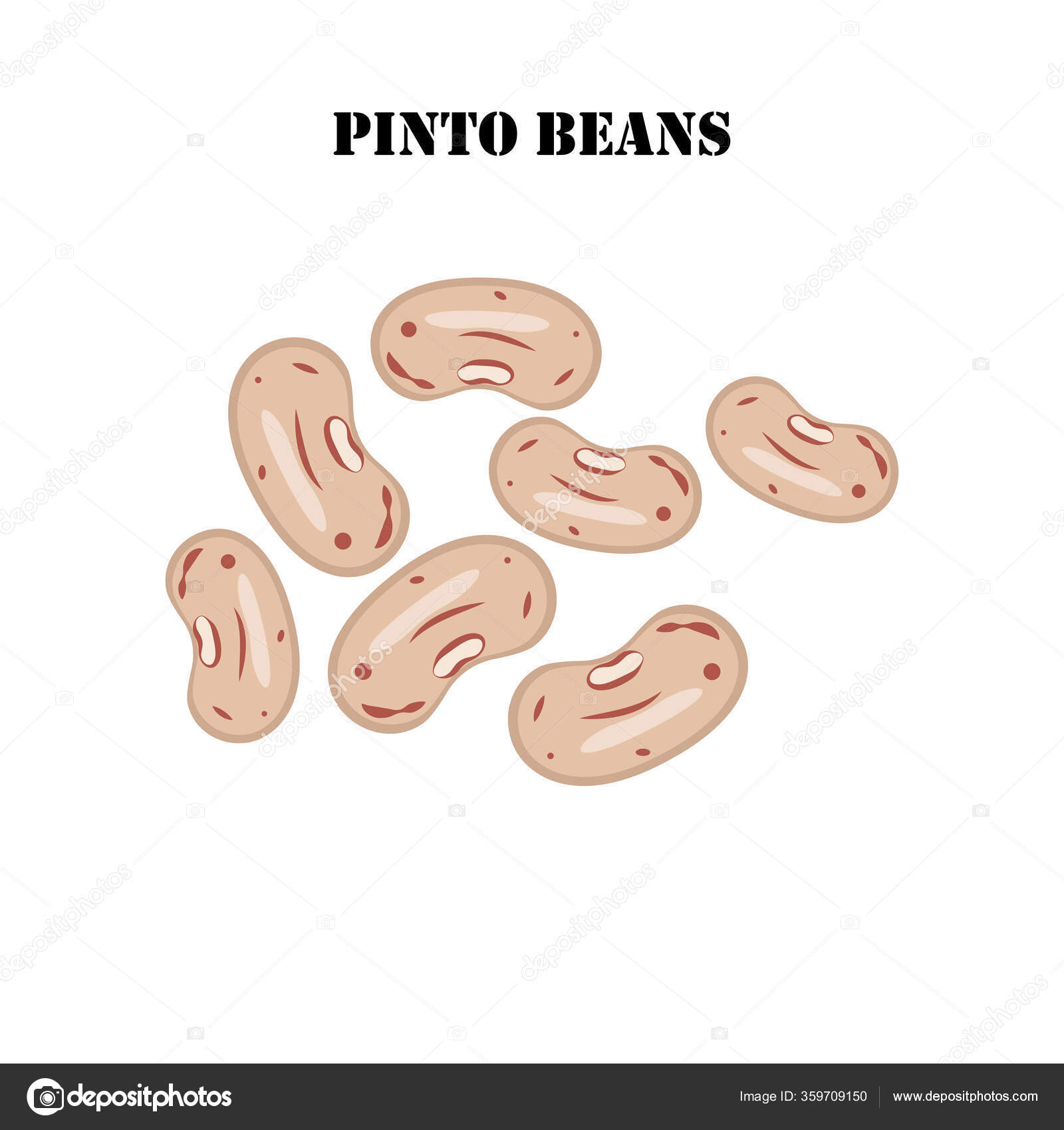 Pinto Beans Illustration White Background Vector Illustration Stock ...