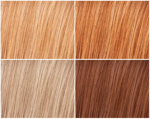 Example of natural hair colors palette - Stock Image - Everypixel