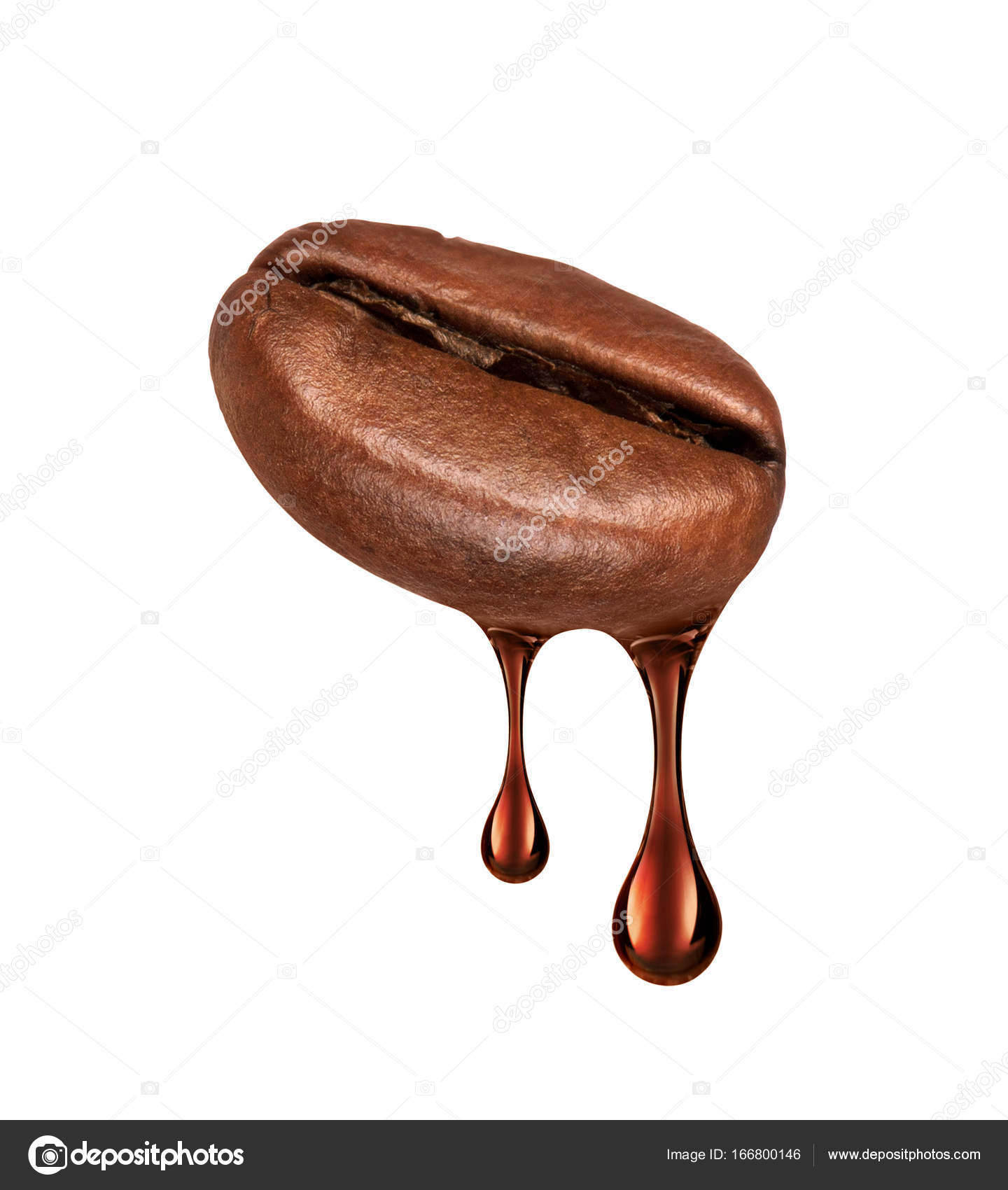 Drop of coffee dripping from coffee seed close-up Stock Photo by ...