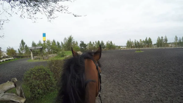 Hacking river Stock Photos, Royalty Free Hacking river Images ...