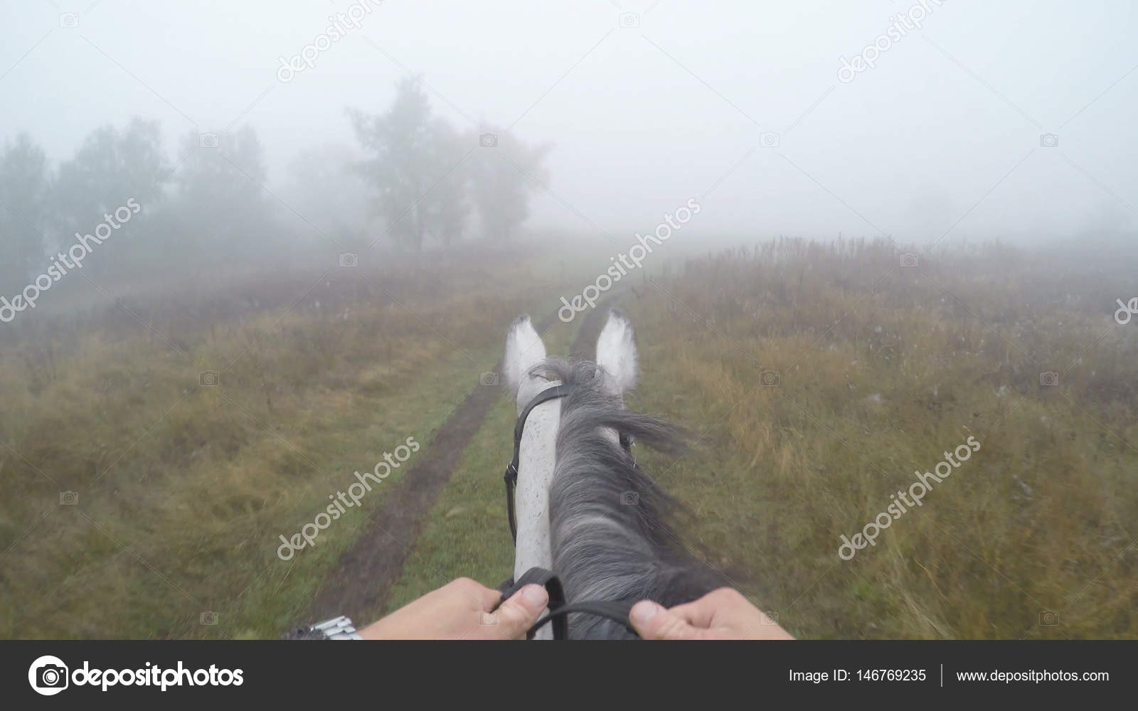 First person view of riding a horse. Point of view of rider walking at ...