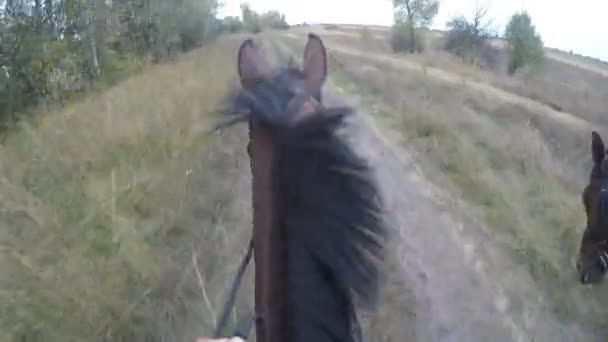 First person view of riding a horse. Point of view of rider walking at ...
