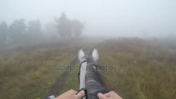 First person view of riding a horse. Point of view of rider walking at ...