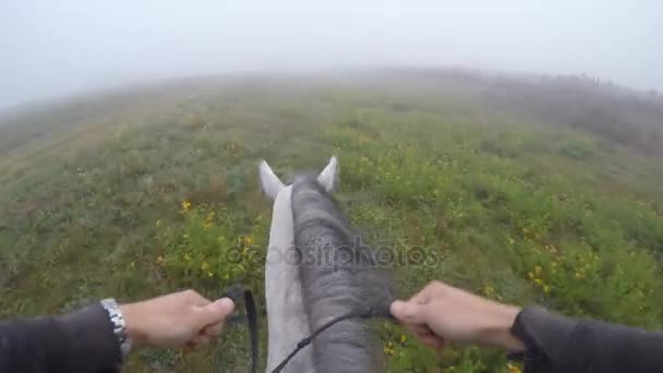 First person view of riding a horse. Point of view of rider walking at ...