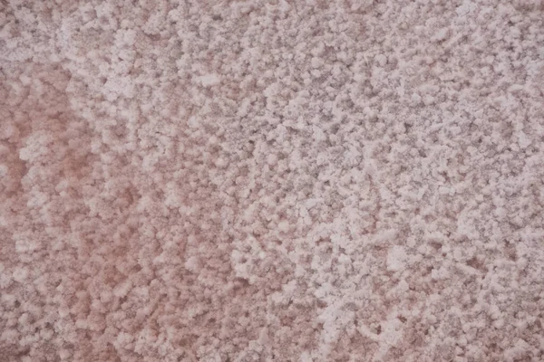 Macro pink carpet sample Stock Photo by ©mcgphoto 3806231