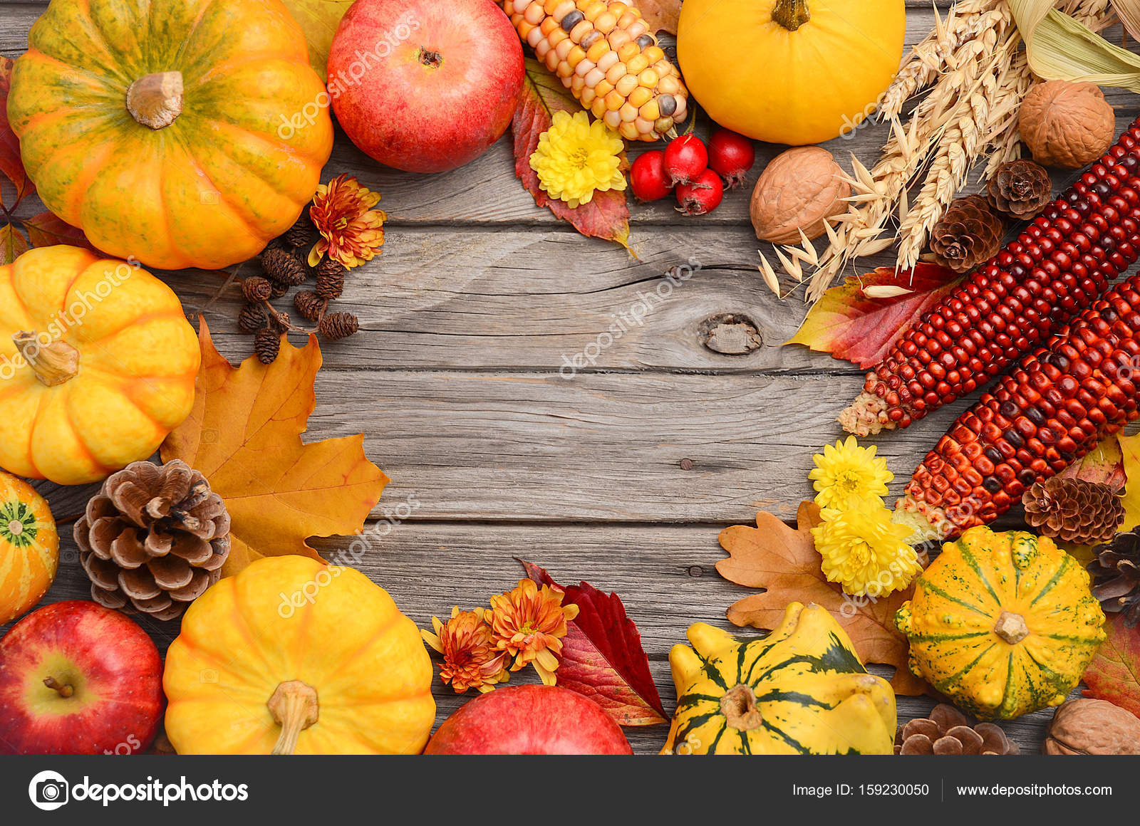 Fall background with pumpkins Stock Photo by ©JulijaDM 159230050
