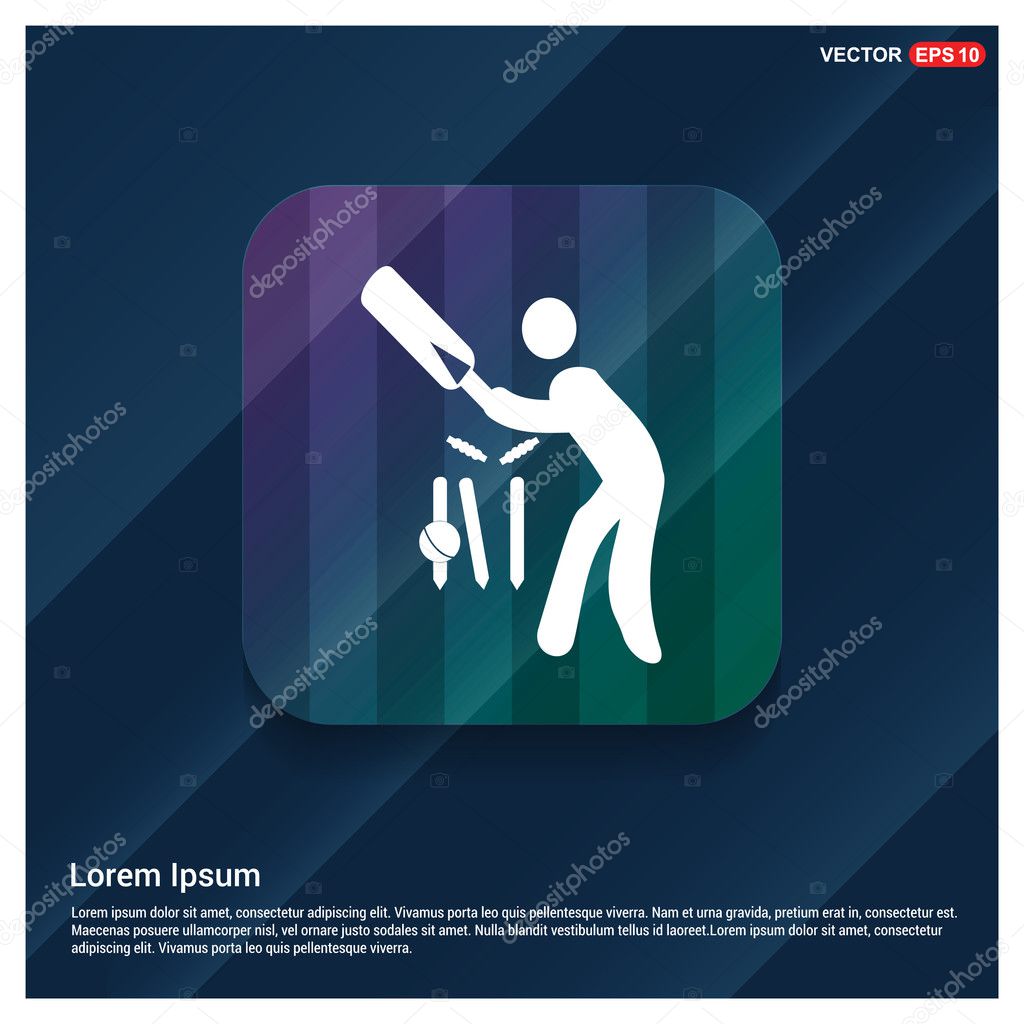 Cricket player icon Stock Vector Image by ©ibrandify #128784562