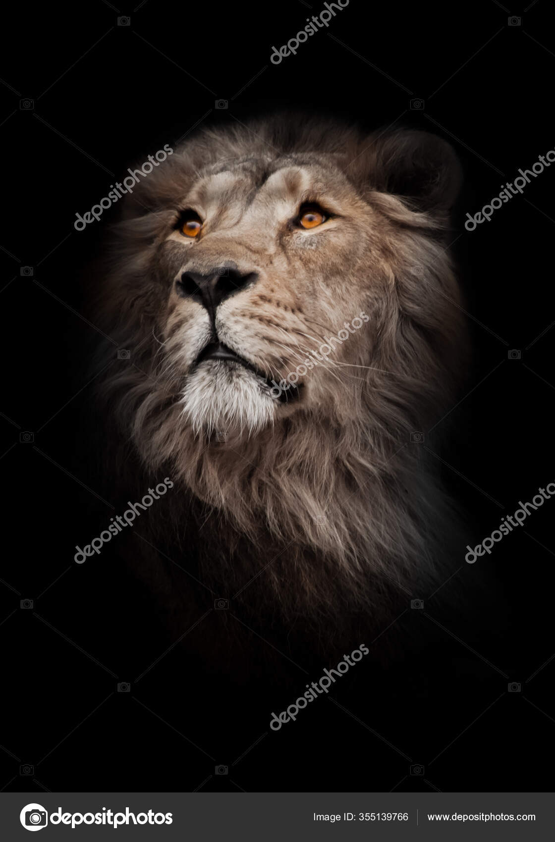 Lunar Beast Ashen Peppy Motion Chic Hair Turns Half Face Stock Photo by ...