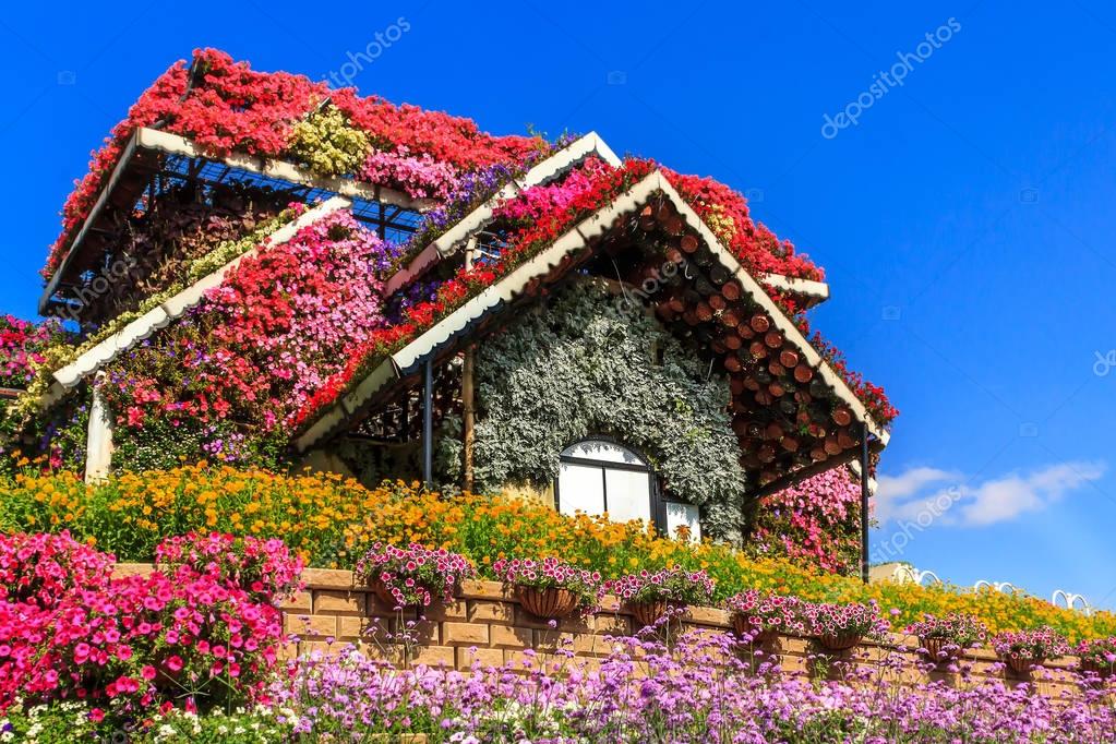 Flower house on a background of clouds – Stock Editorial Photo © Alexey ...