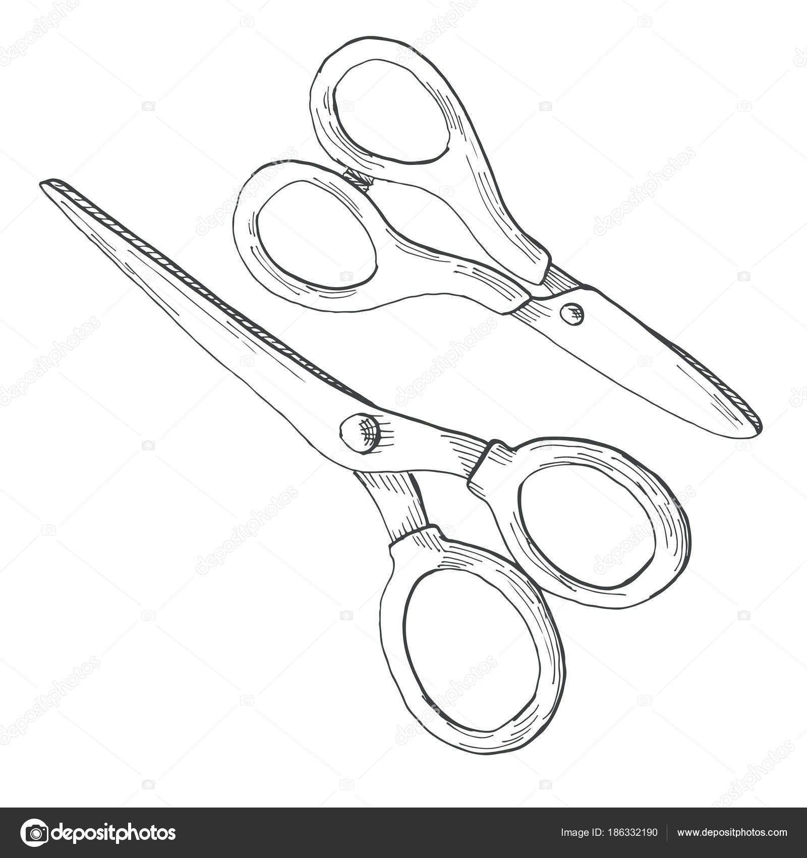 Hand drawn two pairs of scissors isolated on white background. Vector ...