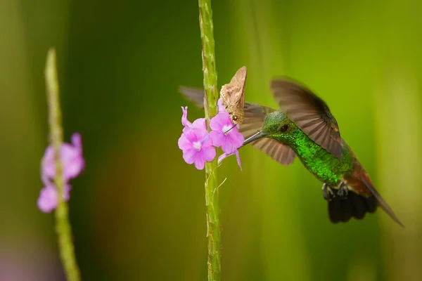Venezuela Stock Photos, Royalty Free Venezuela Images | Depositphotos