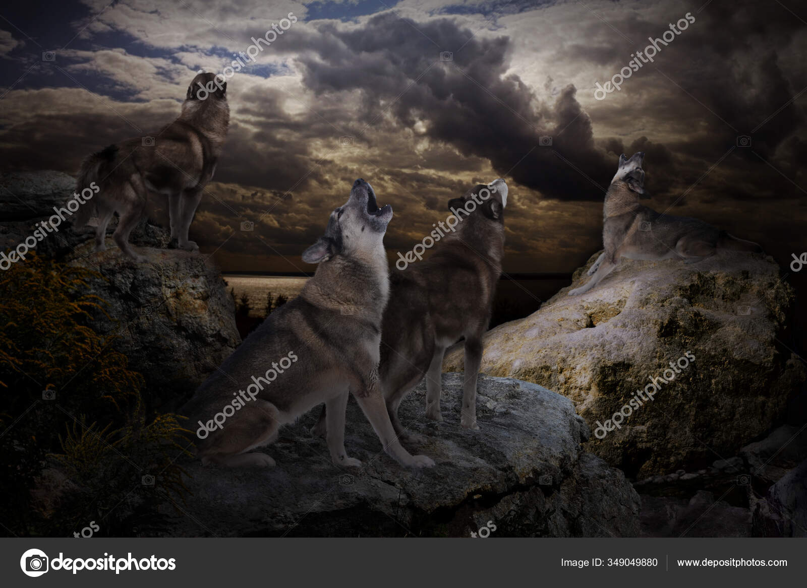 Dark Evening Pack Wolves Greets Moon Stock Photo by ©astroida.list.ru ...