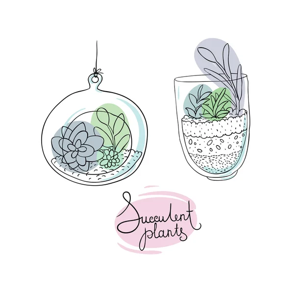 Terrarium drawing Vector Art Stock Images | Depositphotos