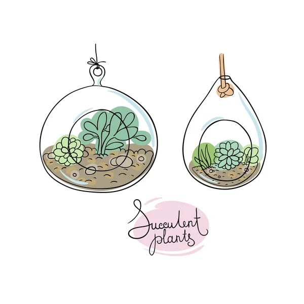 Terrarium drawing Vector Art Stock Images | Depositphotos