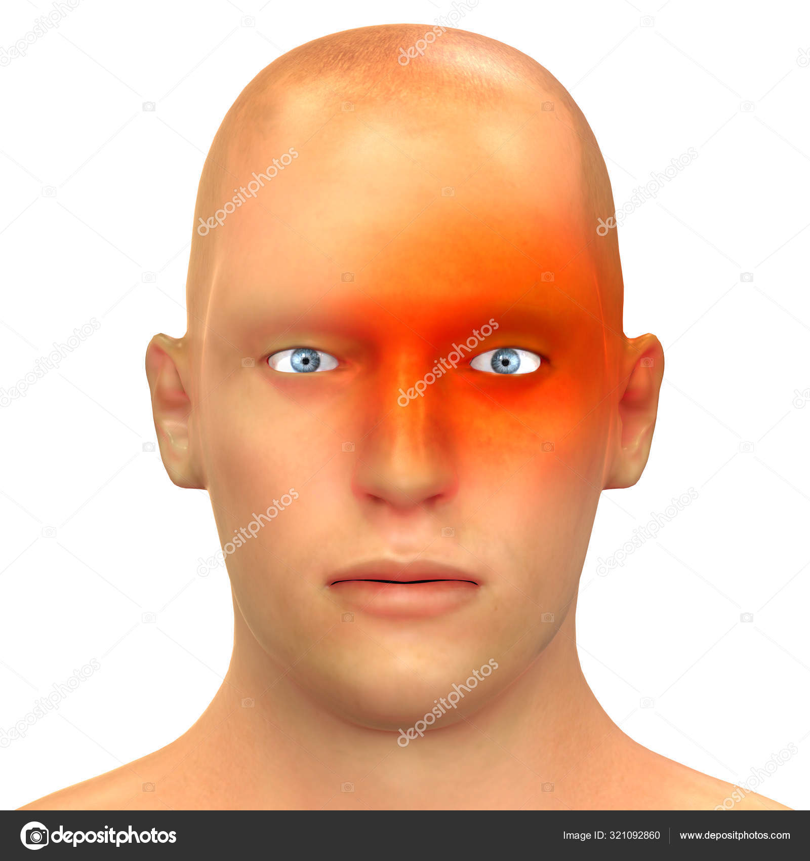 Cefalea Humana Tipos Anatomía Cluster Ilustración — Foto de stock ...