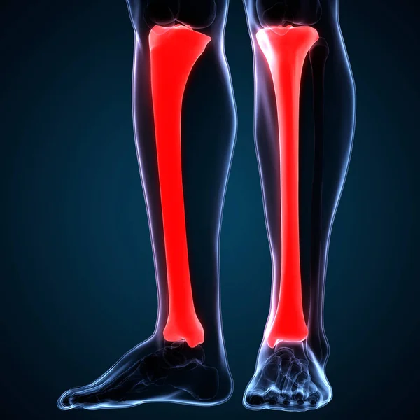 Dolores articulares en los huesos del cuerpo humano (articulaciones de ...