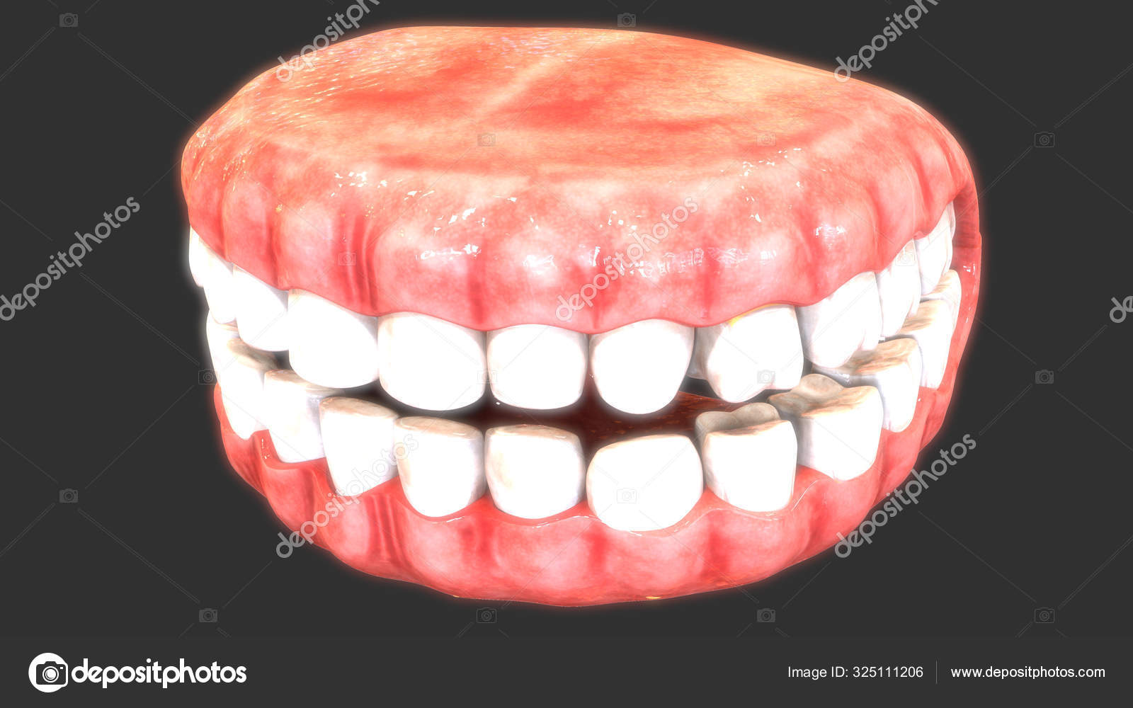 Human Jaw Teeth Illustration — Stock Photo © magicmine #325111206