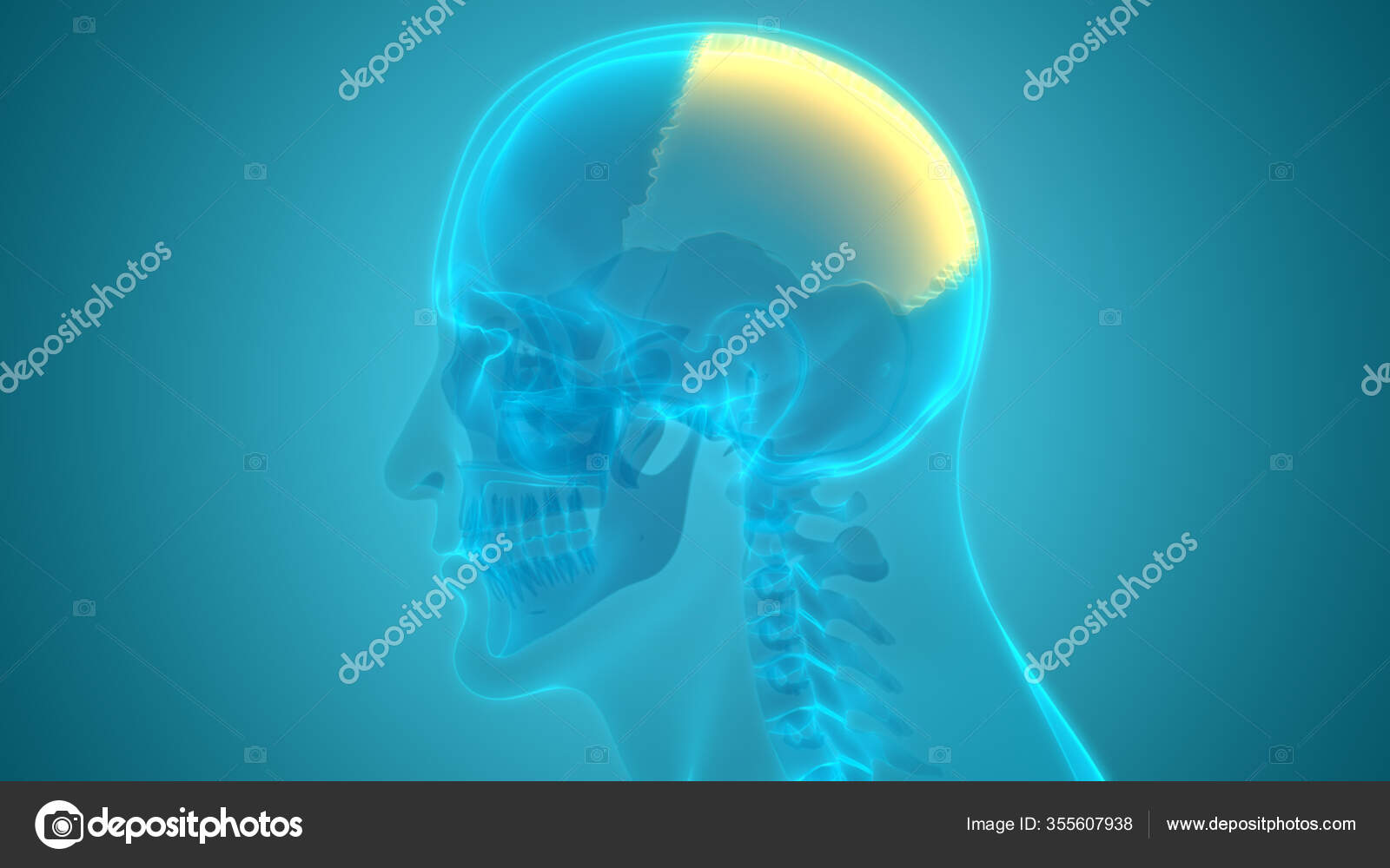 Illustration Human Head Background Stock Photo by ©magicmine 355607938