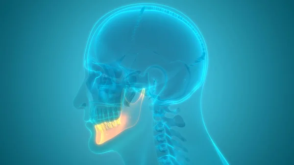 Biofeedback for bruxism Stock Photos, Royalty Free Biofeedback for ...