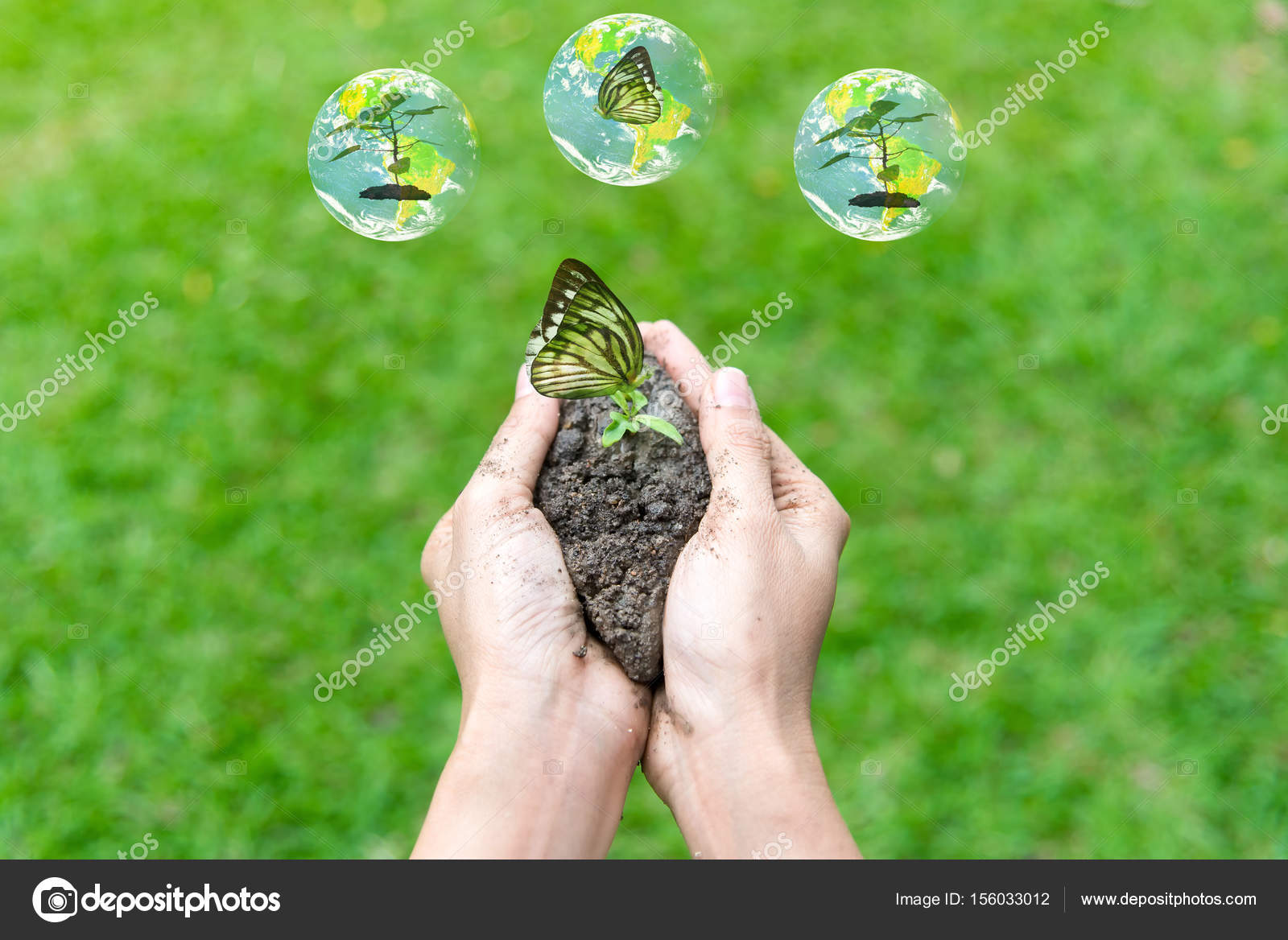 Tree growth in hand man with butterfly and green world , Earth image ...