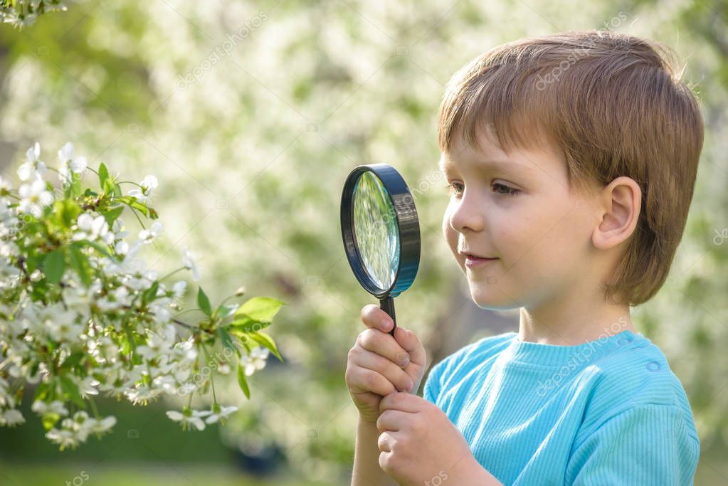 Niño explorando la naturaleza en un prado con lupa 2024