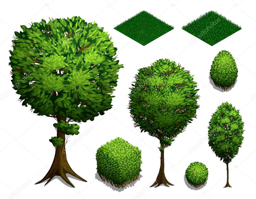 Set Of Isometric Trees Realistic Isometric Bushes Trees And Grass Isolated On White Background