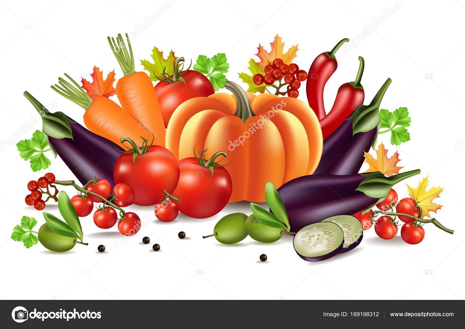 Vegetables autumn harvest Vector. Realistic pumpkin, eggplant and ...