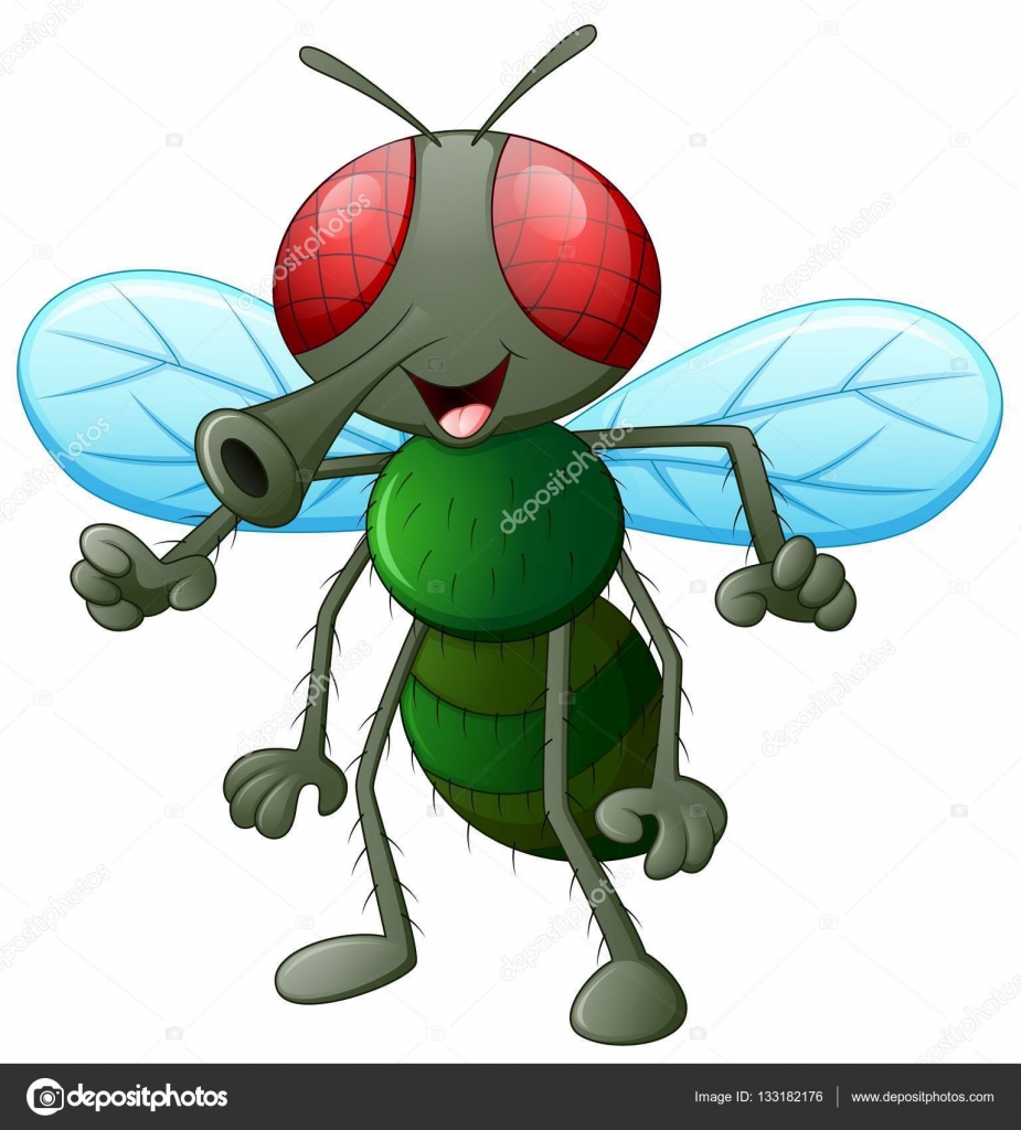 Cute fly animal. Isolated on white background Stock Vector Image by ...