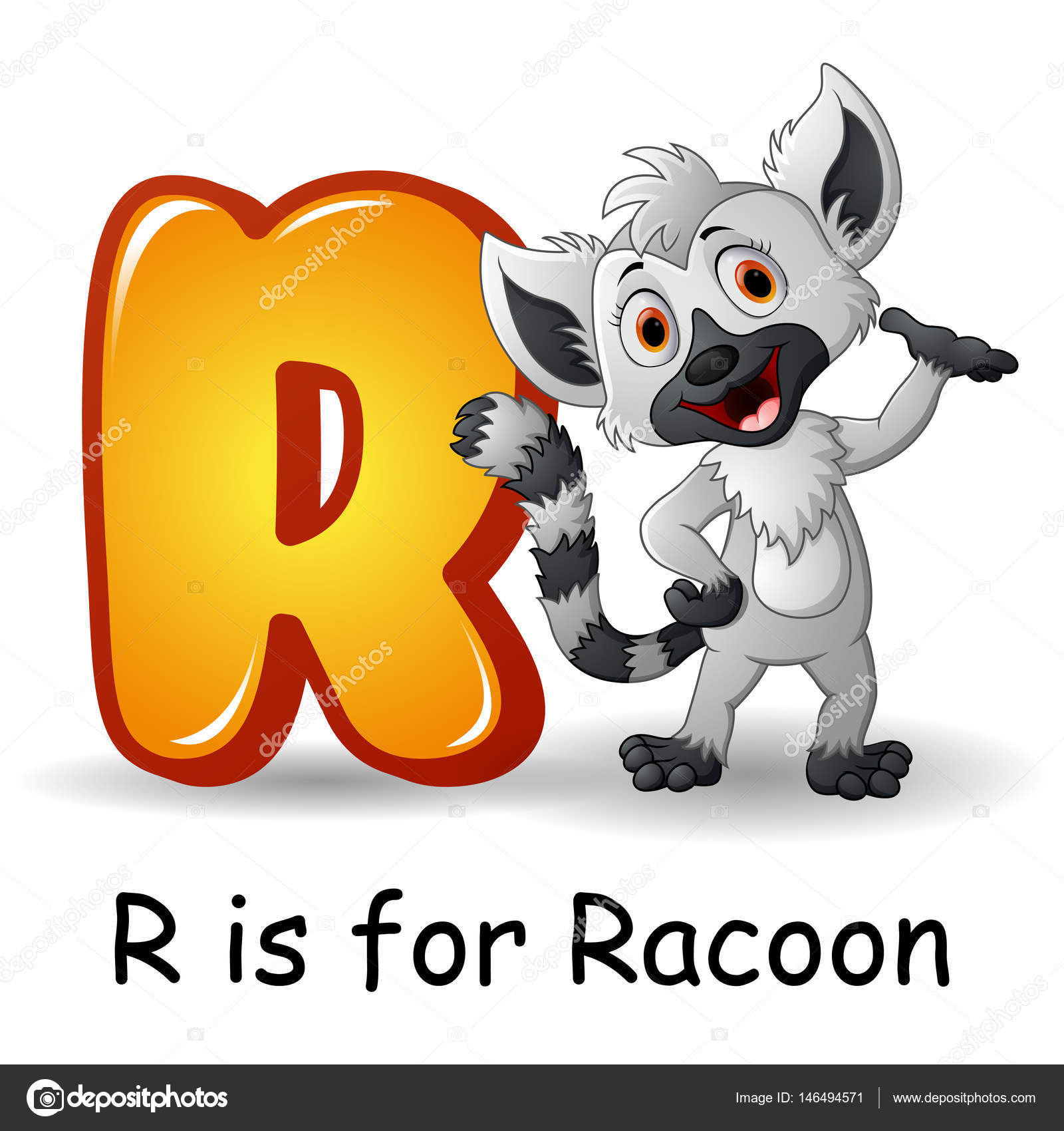 Animals alphabet: R is for Raccoon Stock Vector Image by ©dualoro ...